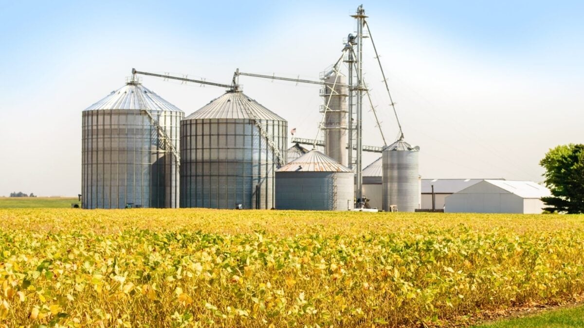 Forbes Agro100: As 100 maiores empresas do agronegócio do Brasil