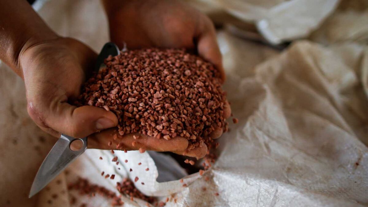 Lavoro fecha compra da NS Agro e entra nos mercados do Chile e Peru