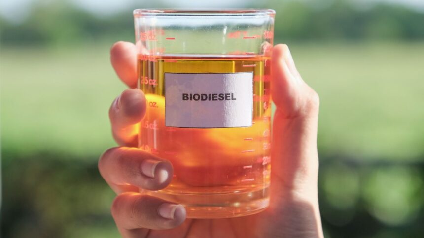 Be8 assina compra da Biopar e amplia capacidade de biodiesel em 35,6%