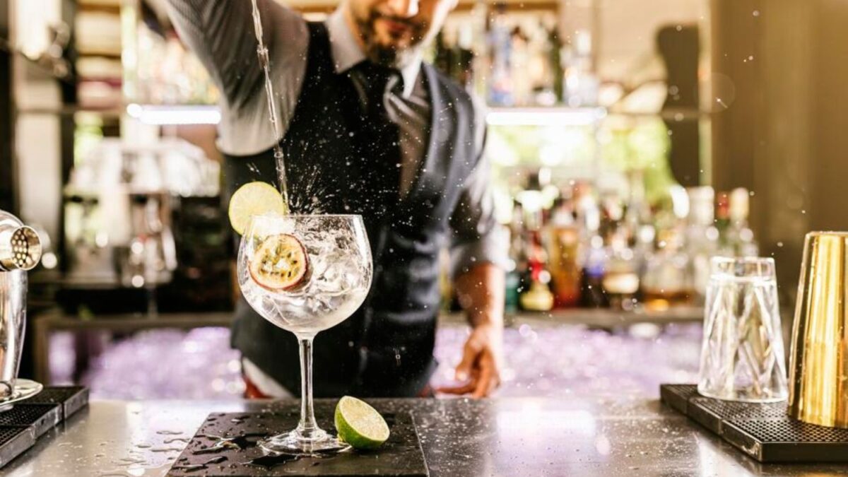 Como Escolher o Gin Certo para Cada Tipo de Bebida